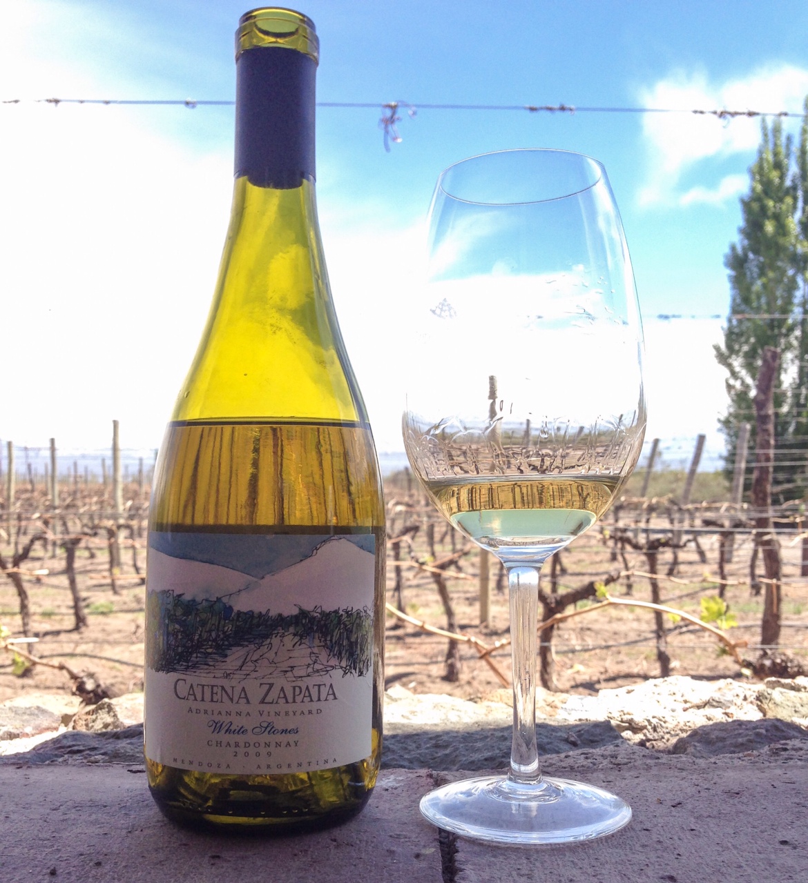 who what wine: a grapey gift guide | grapefriend