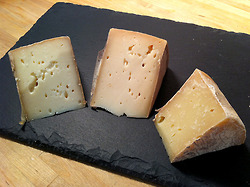 grape passport: mendocino | grapefriend