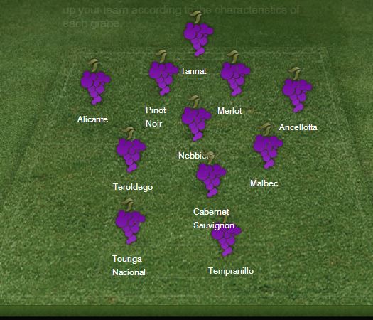 the official world cup wine | grapefriend