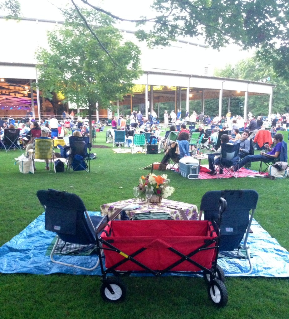 getting your grape on: tanglewood 2014 | grapefriend